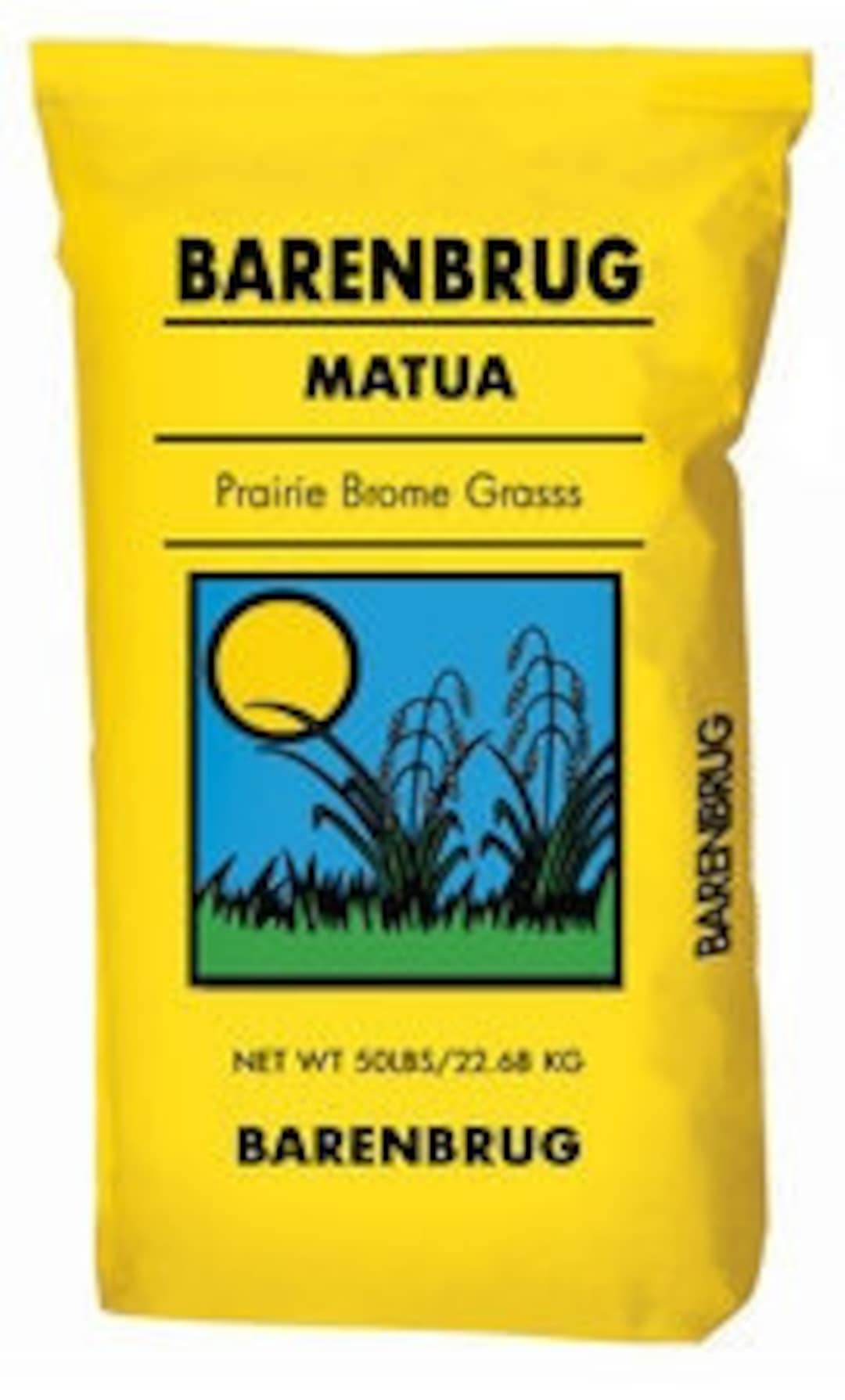 Matue Prairie Brome Grass for Pasture - Etsy
