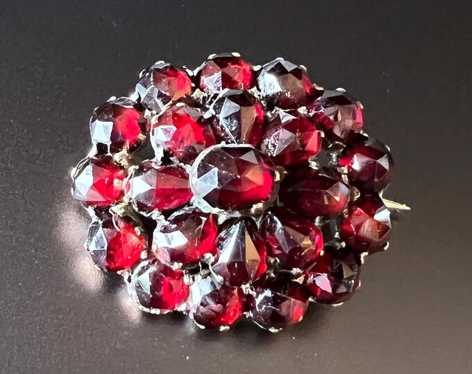 Antique Victorian Petite Bohemian Garnet Brooch Pin - Etsy