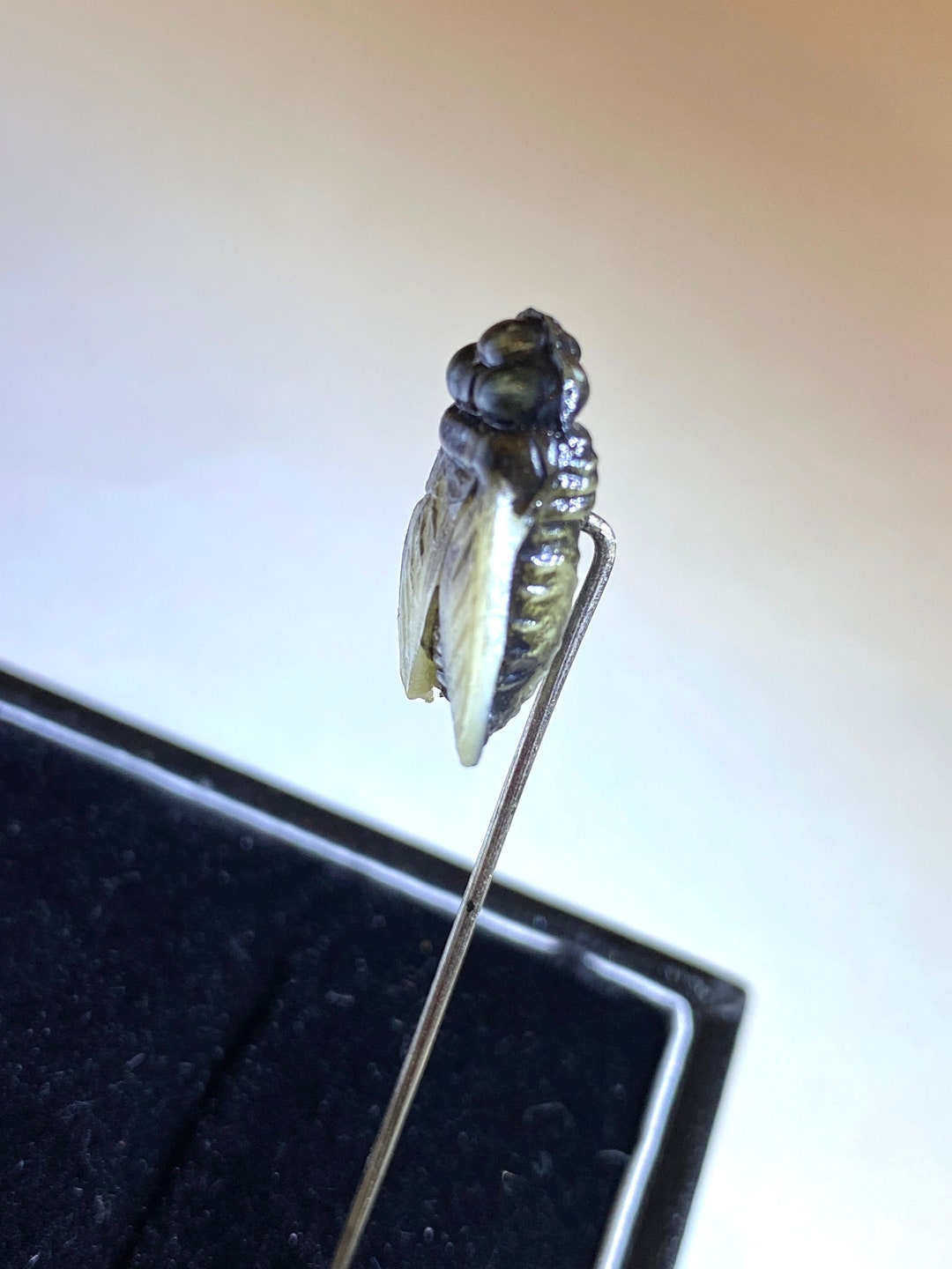Antique Victorian Realistic Cidada or Fly Stick Pin - Etsy