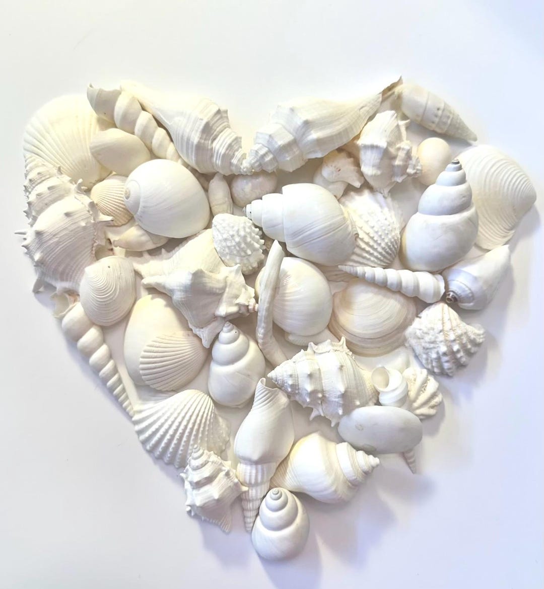 White Seashell Mix, Wedding Decor, Beach Decor, Home Decor, Vase Filler ...