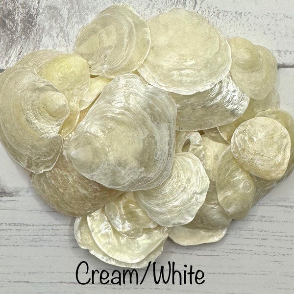 Jingle Shells - Etsy