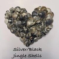 Jingle Shells From Florida. - Etsy