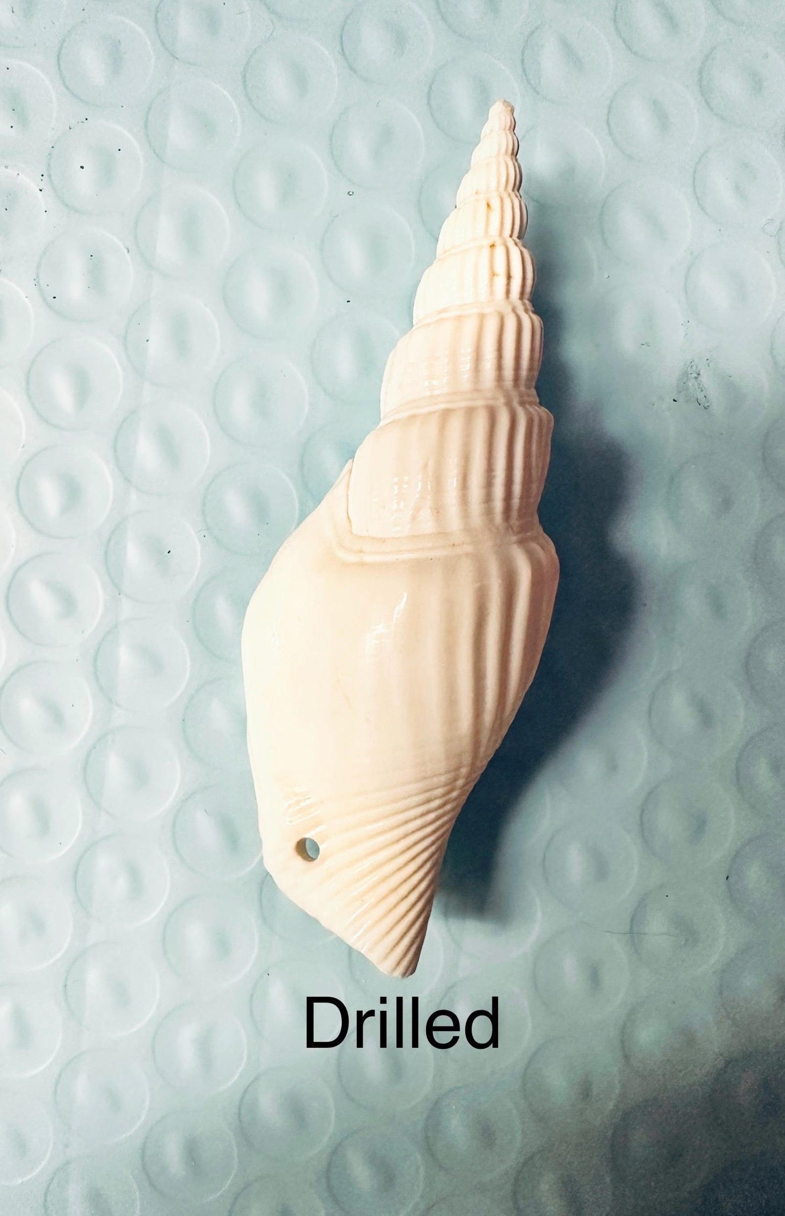 White Seashell Mix, Wedding Decor, Beach Decor, Home Decor, Vase Filler, Craft Shells, Collage ...