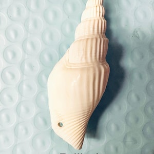 White Seashell Mix, Wedding Decor, Beach Decor, Home Decor, Vase Filler, Craft Shells, Collage ...