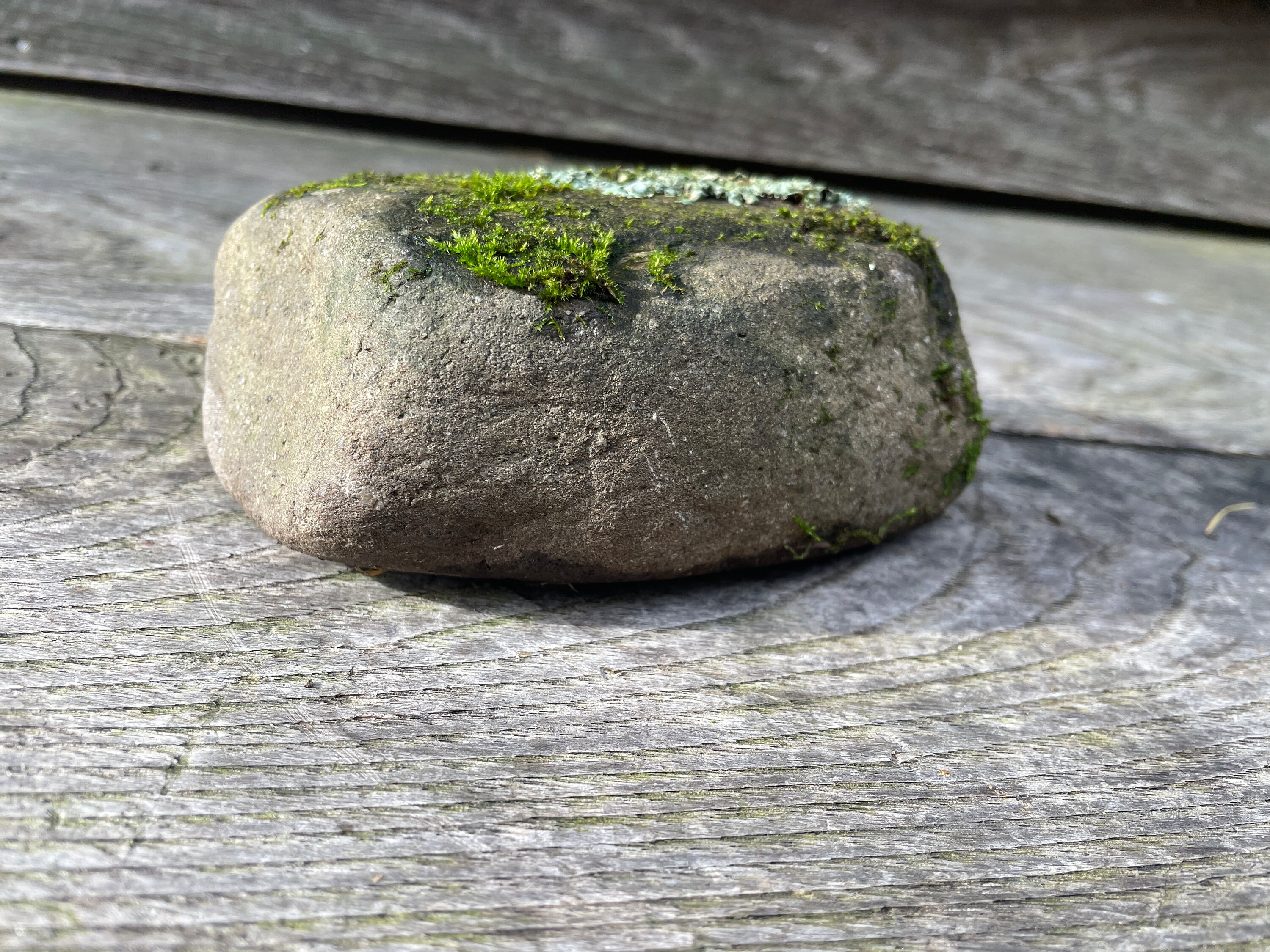 Natural Rock With Moss and Lichens - Etsy