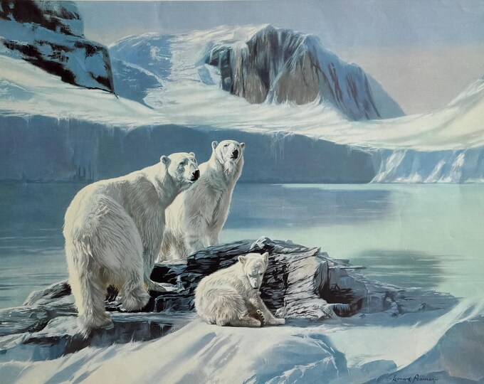 Vintage 1976 Polar Bear Family Print – Leonard Pearman Wildlife Art ...