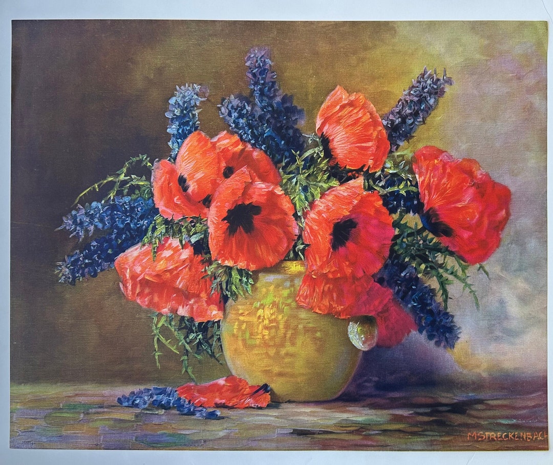 Vintage Max Streckenbach 16x20 Print Gorgeous Poppies in - Etsy
