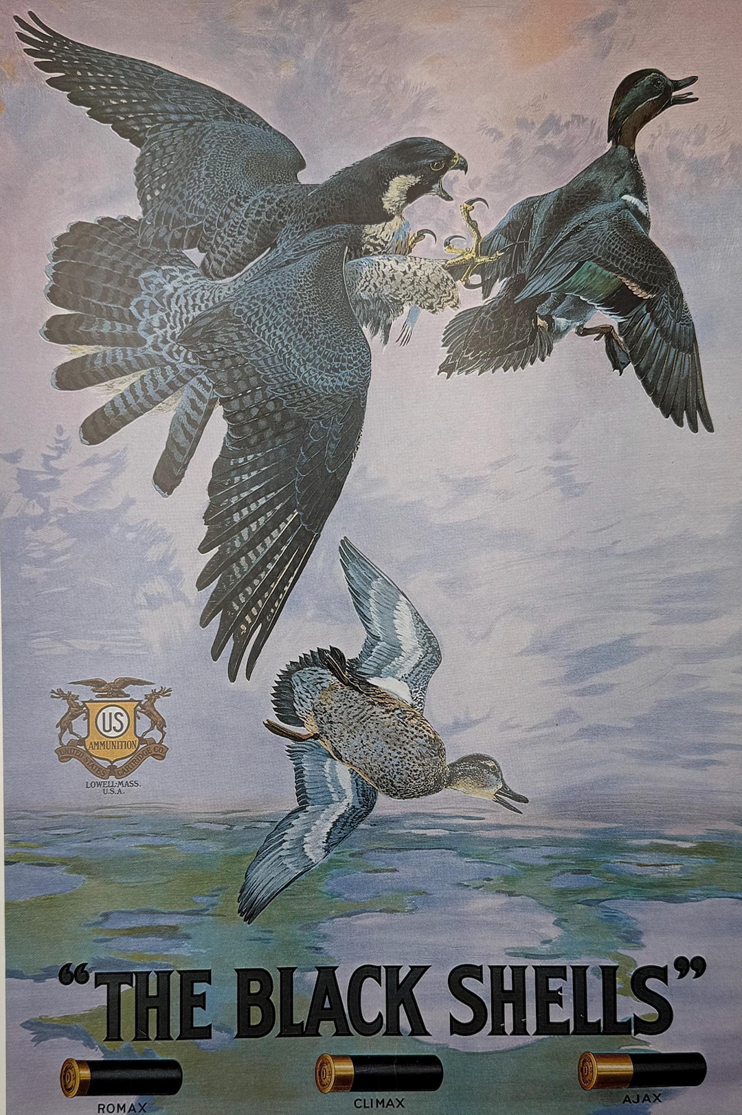 US Cartridge Co, the Black Shells, Birds in Flight, Illustrated 1978 ...