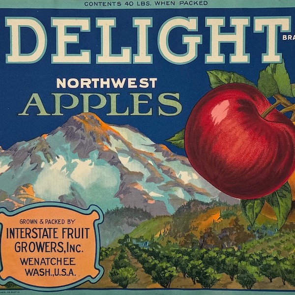 Washington Apple - Etsy
