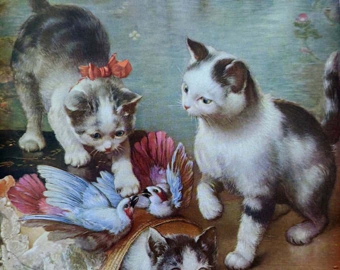 Mischievous Kittens, Vintage Carl Reichert Victorian Style Black and White Kittens at Play Litho ...