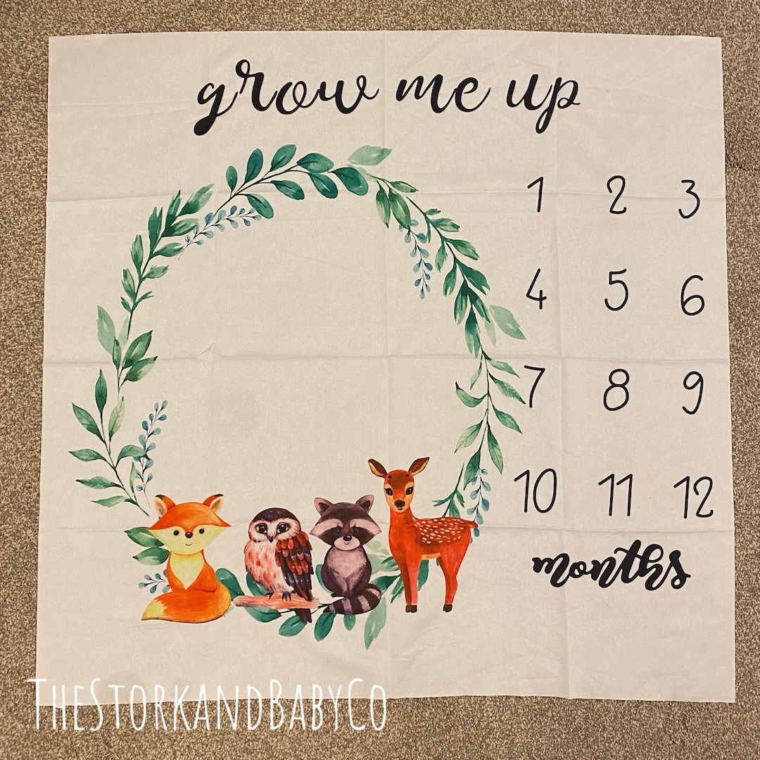 My 1st Year Baby Milestone Mat/ Photo Prop - Etsy