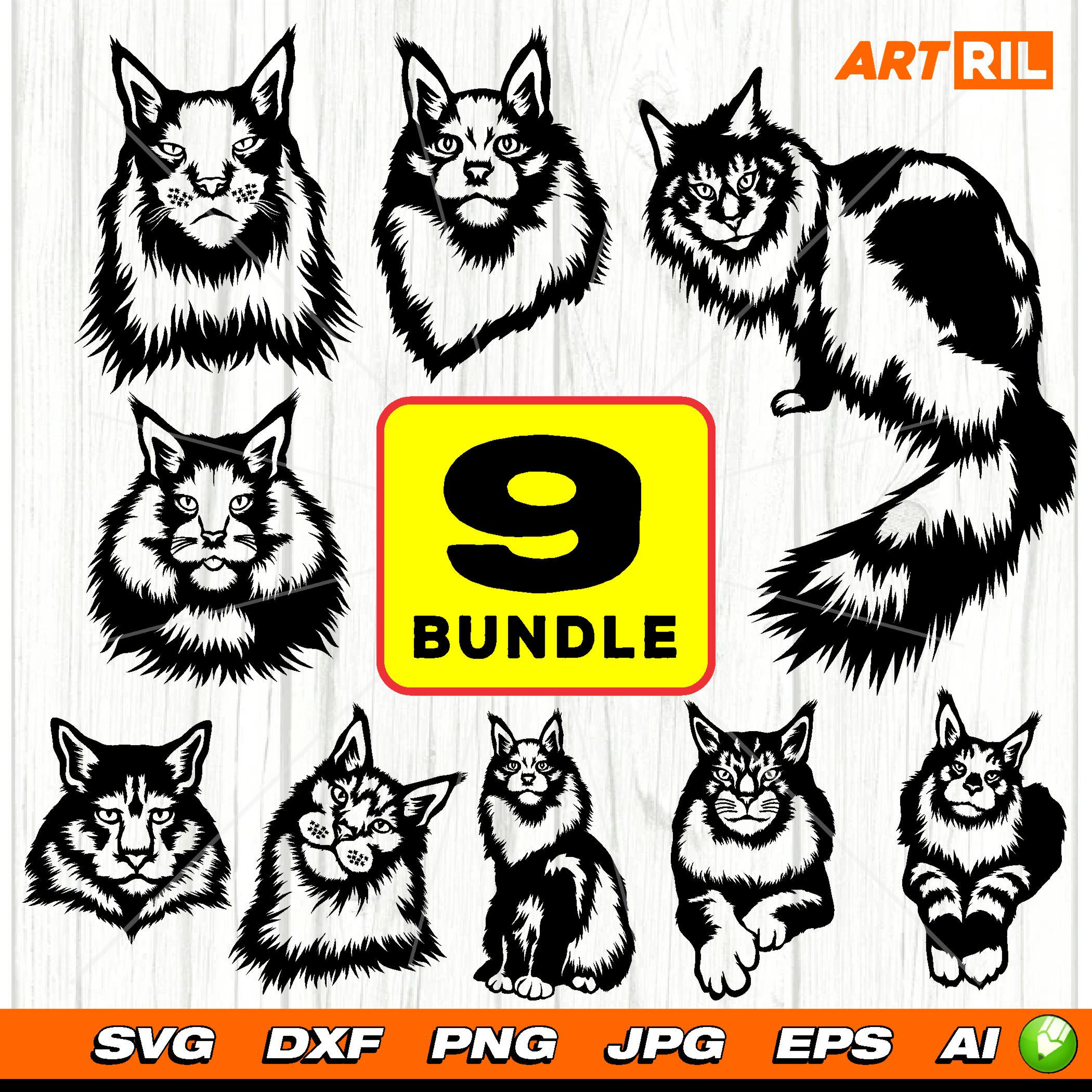 Maincoon Cat Bundle - Etsy