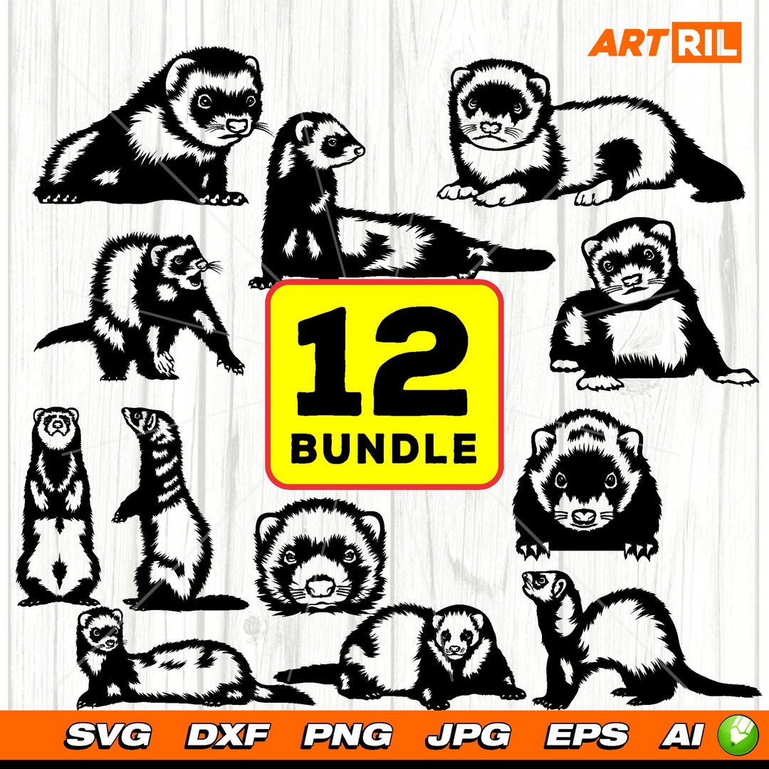 Ferret svg paquete, ferret svg, ferret svg archivos, - Etsy España