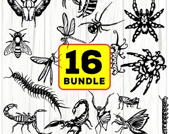 Bug Hunter Svg Png Entomology Svg Png Entomologist Svg Png Bug - Etsy