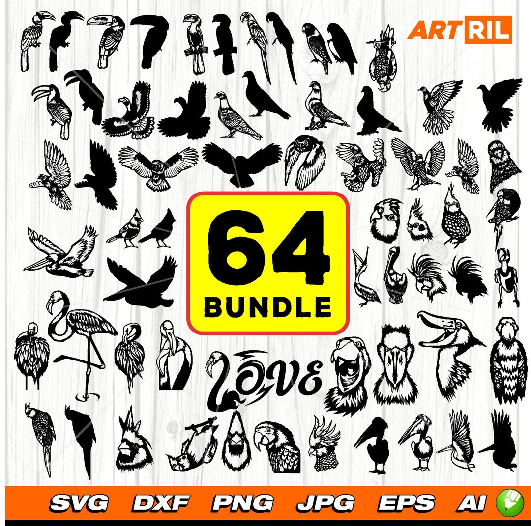Perfect Birds Design Bundle for Print and Cutting - Etsy