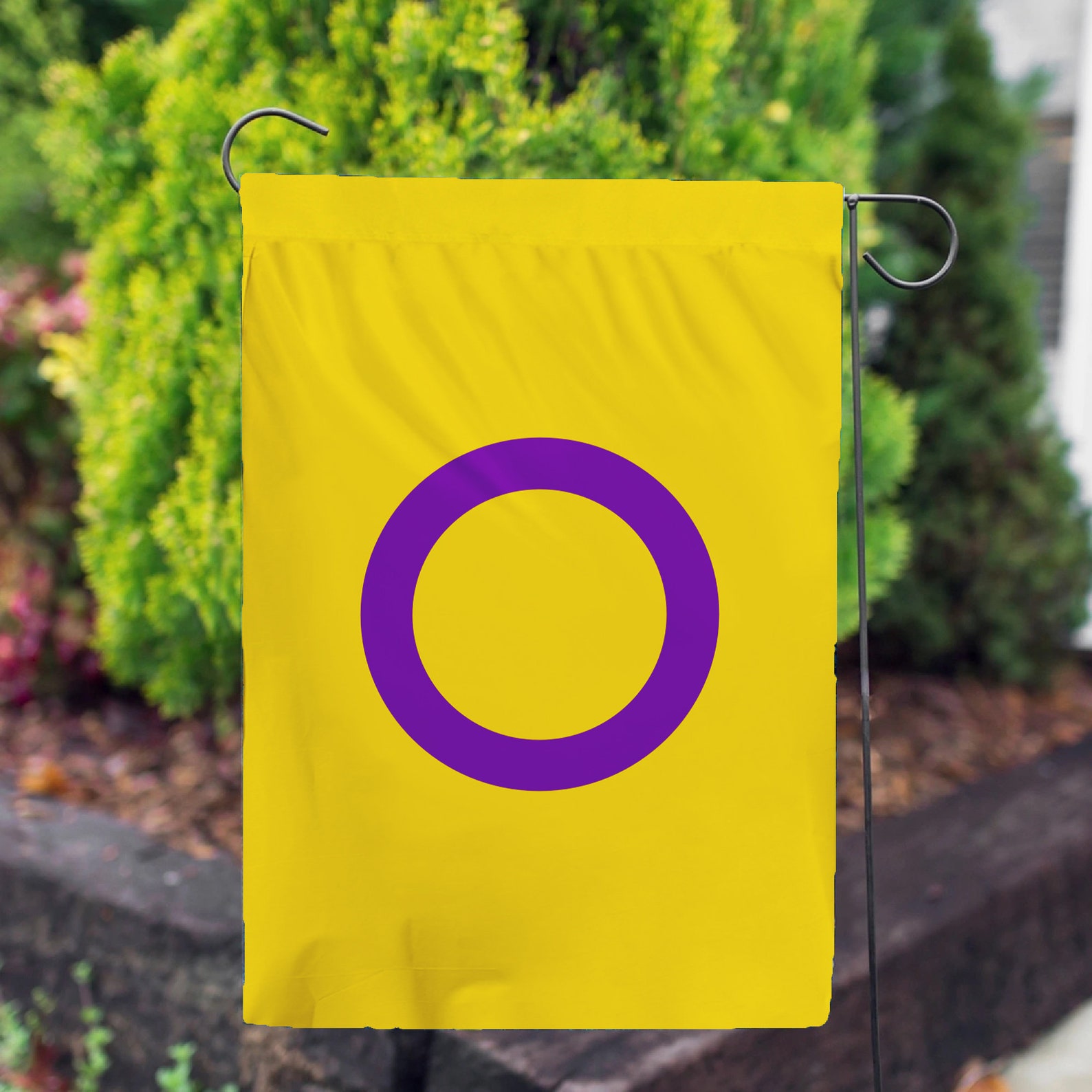 Intersex Flag Flag For Protest LGBT Equality Flag Pride | Etsy