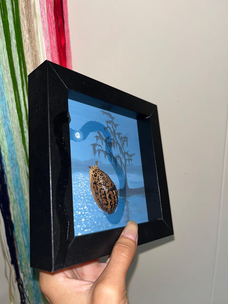 Slugging Along the Shadow Box - Etsy