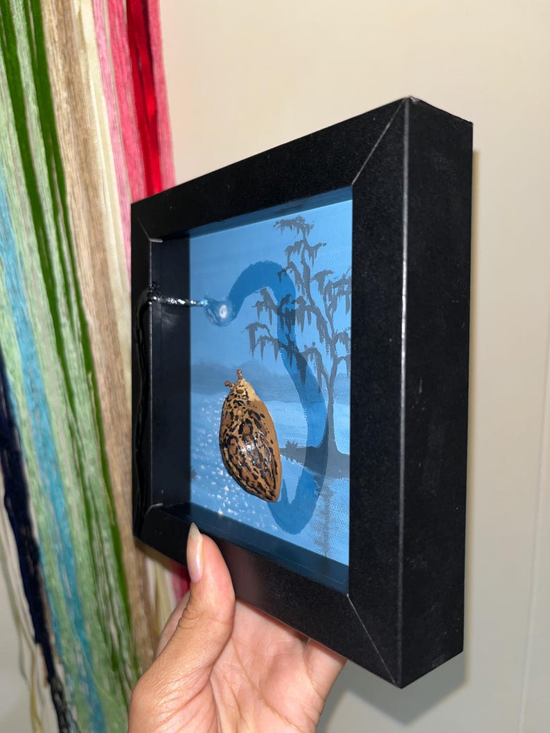 Slugging Along the Shadow Box - Etsy
