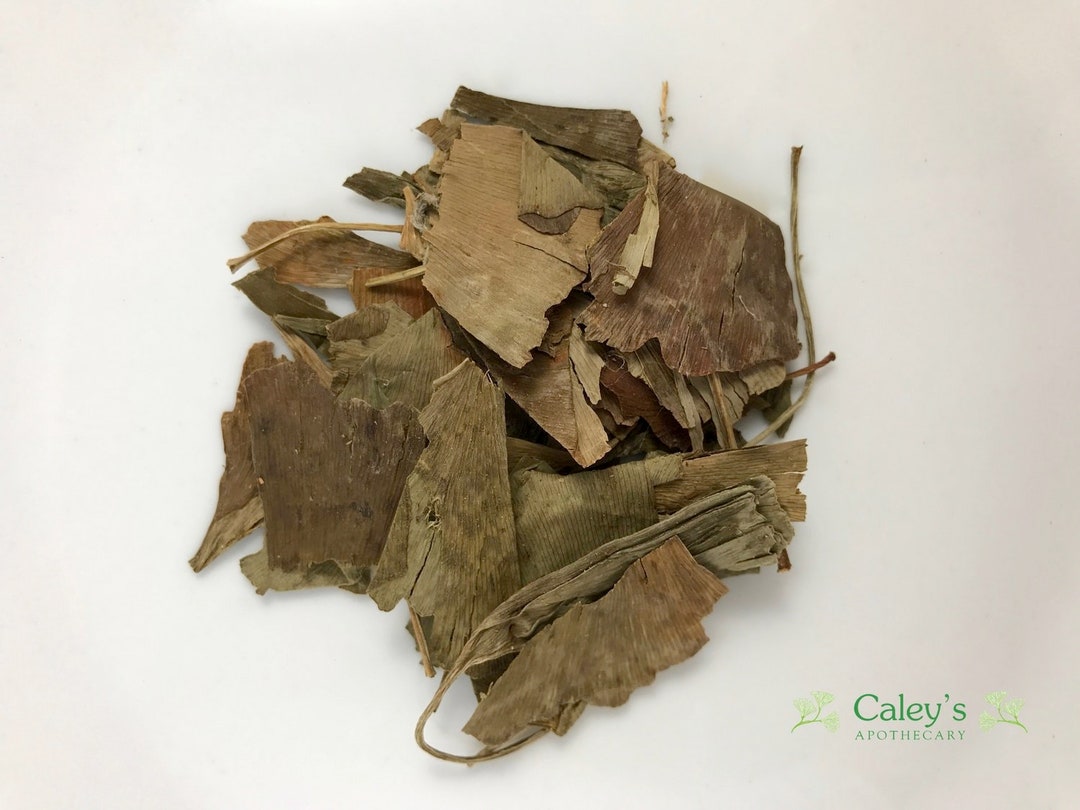 Organic Ginkgo Leaf Dried Herb ginkgo Biloba - Etsy
