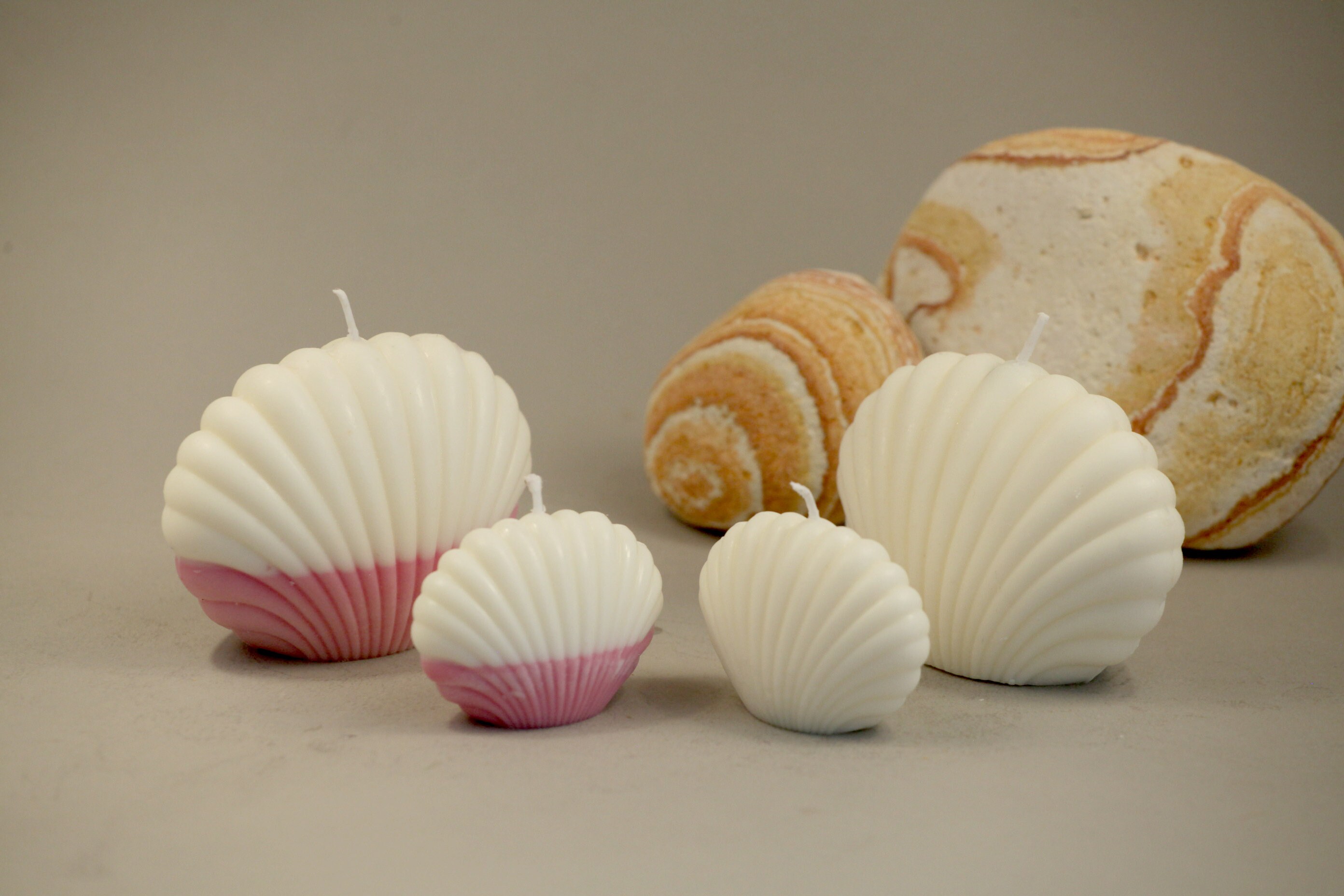 Shell Candle/ Sea Shell Candle - Etsy UK