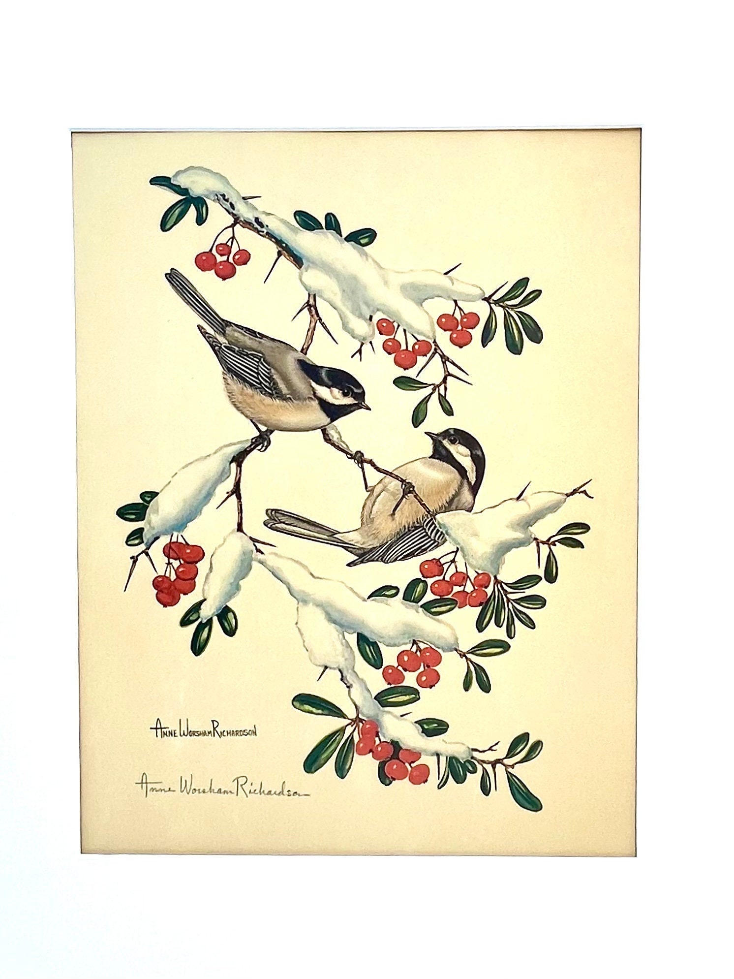 Vintage Anne Worsham Richardson black Capped Chickadee Print Signed by ...