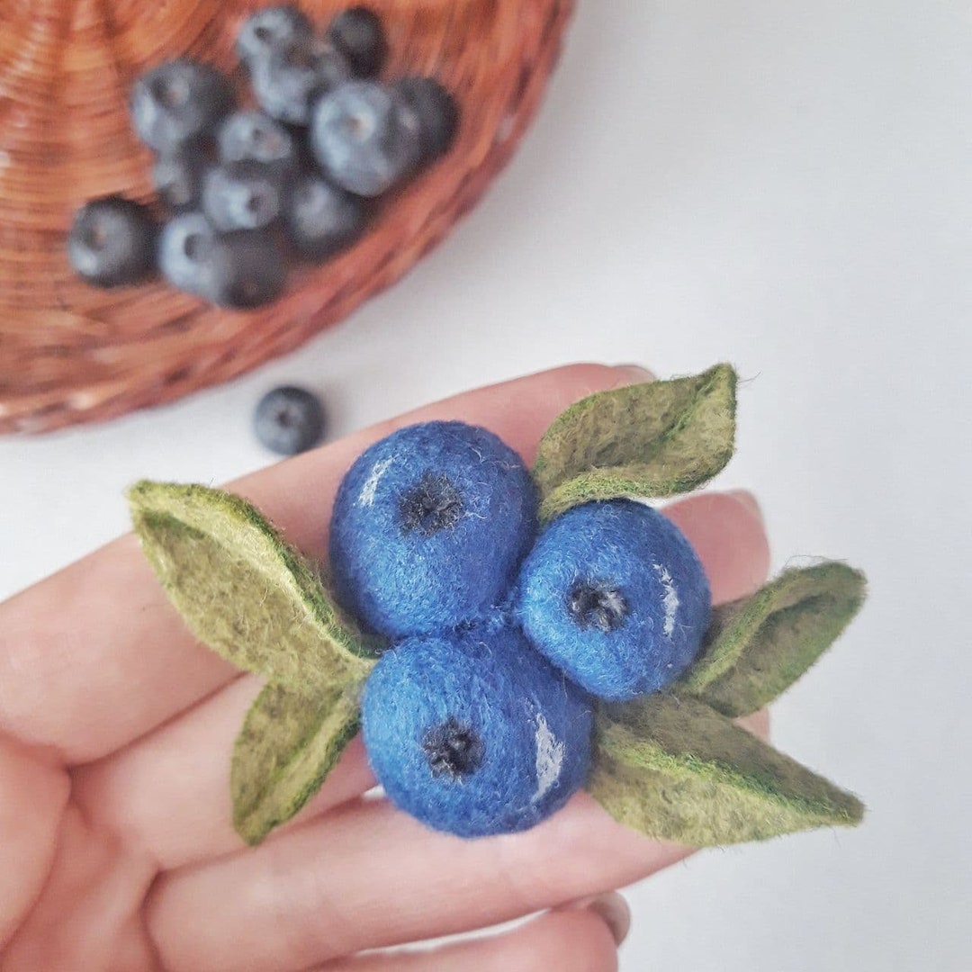 Fruit Hair Accessories: 2 Blueberry Hair Clips, 2 Orange Clips and 1 ...