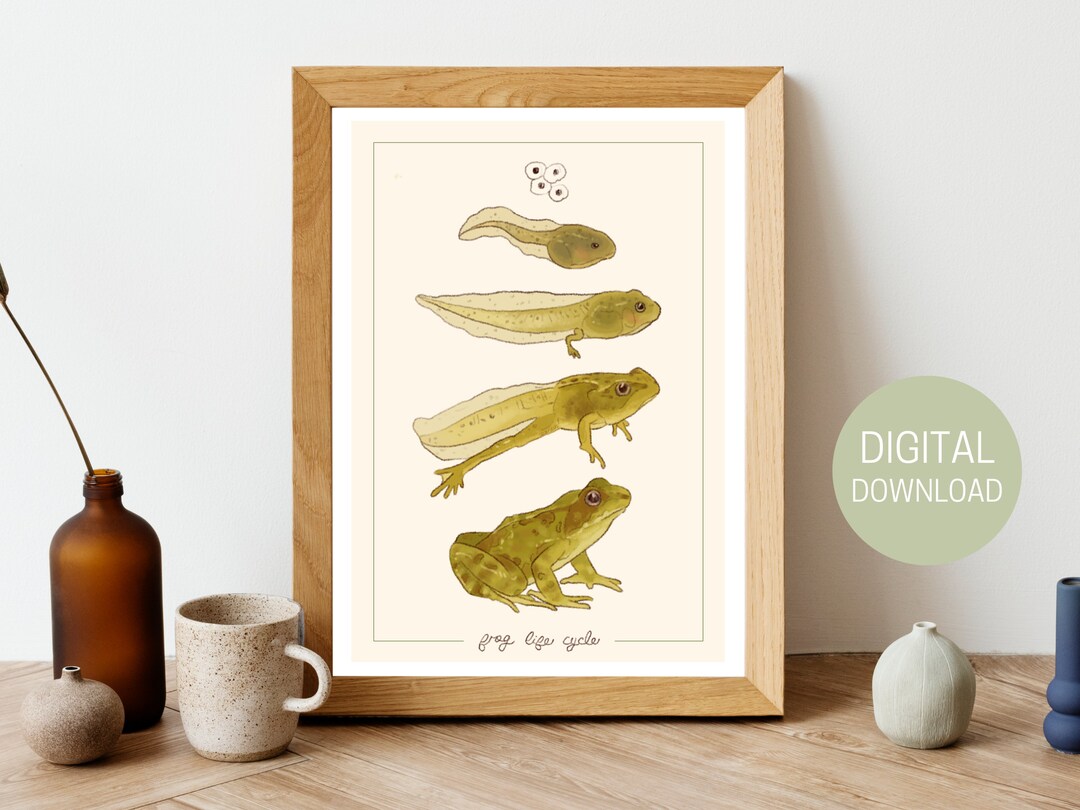 Frog Life Cycle Print, Digital Download, Cute Cottagecore Toad ...