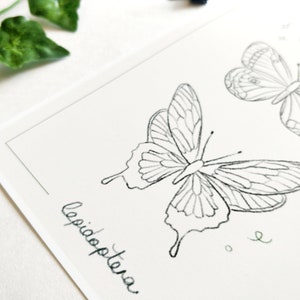Butterfly Outline Print, A5 Lepidoptera Print, Cottagecore Butterflies ...