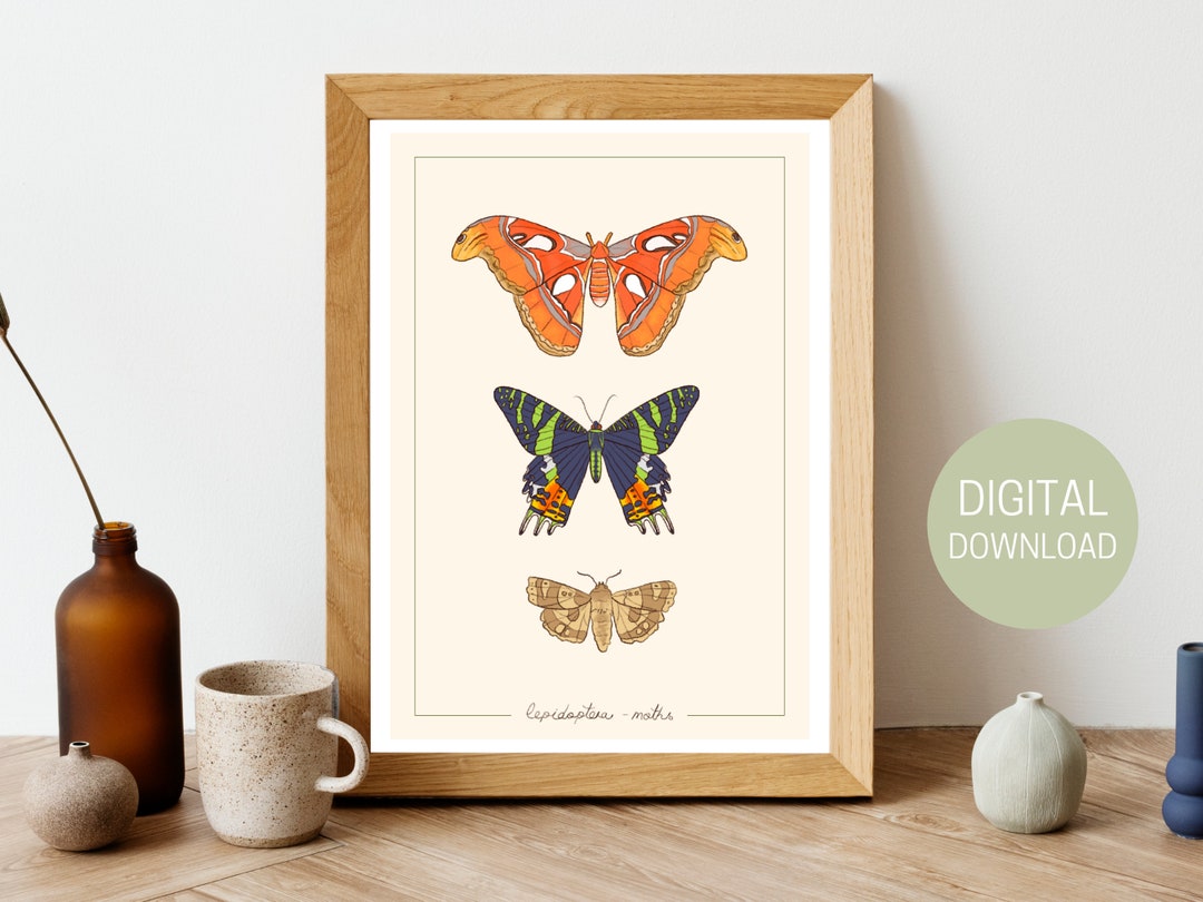 Moths Print, Acnh Lepidoptera Digital Download, Cottagecore Animal ...