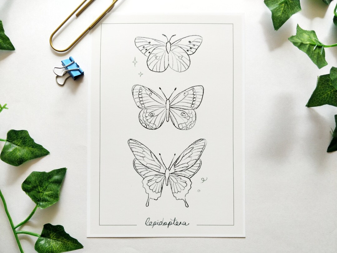 Butterfly Outline Print, A5 Lepidoptera Print, Cottagecore Butterflies ...