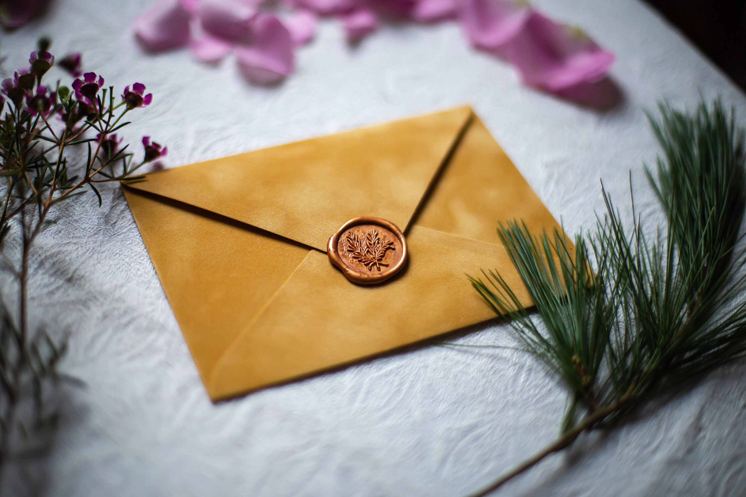 Exclusive Honey Yellow Velvet Envelopes C6 - Etsy