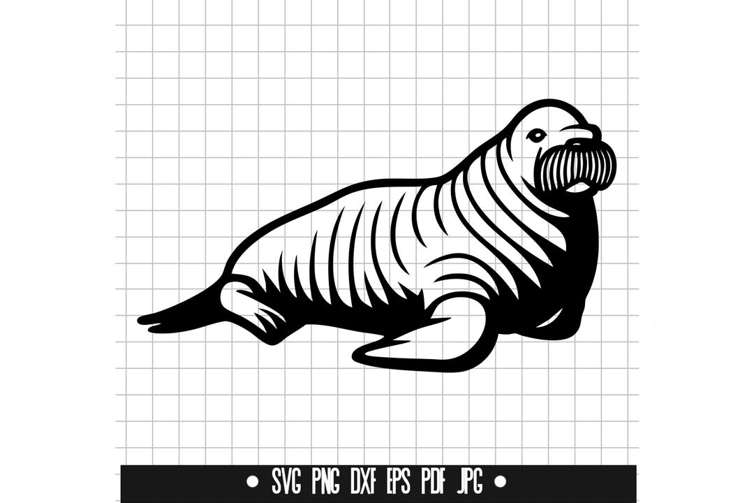 Walrus SVG, Sea Animal PNG, Walrus DXF, Ocean Clipart, Black and White ...