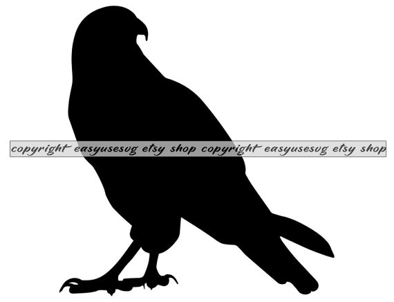 Falcon SVG Hawk SVG Eagle SVG King of Birds Svg Falcon | Etsy