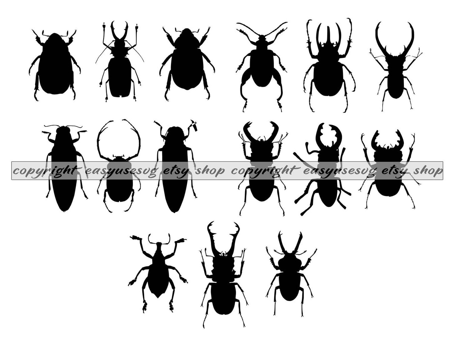 Bug Svg Beetle Bugs Botanical Insect Design Logo Vector Bundle - Etsy