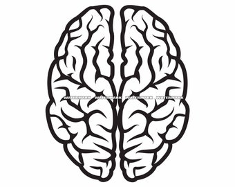 Computer Brain Clipart For Kids