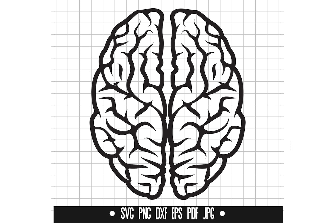 Brain SVG, Brain Cut File, Brain DXF, Brain PNG, Brain Clipart, Brain ...