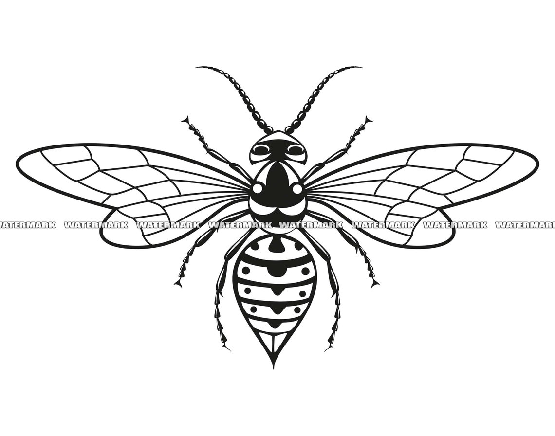 Wasp SVG Wasp Cut File Wasp DXF Wasp PNG Wasp Clipart - Etsy