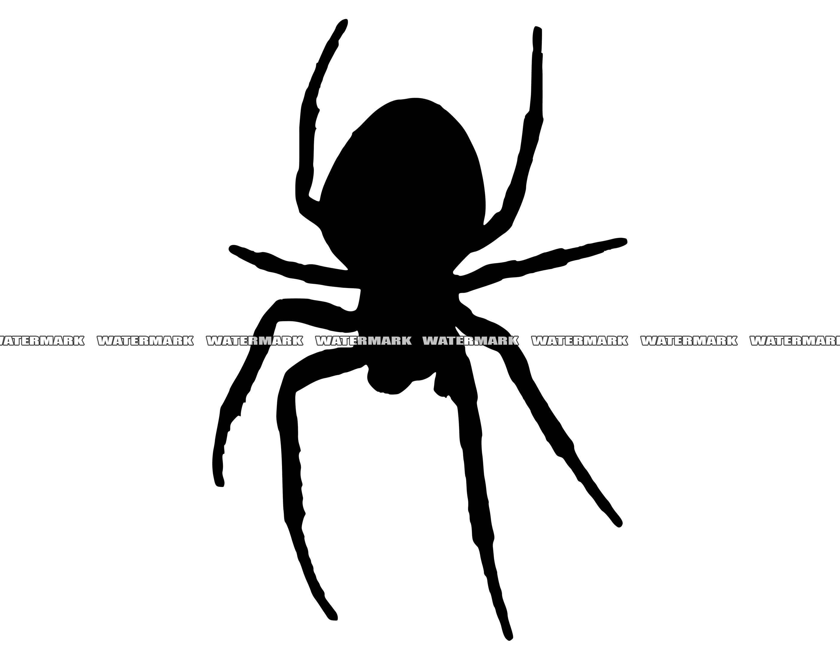 Spider SVG Spider Cut File Spider DXF Spider PNG Spider - Etsy Australia