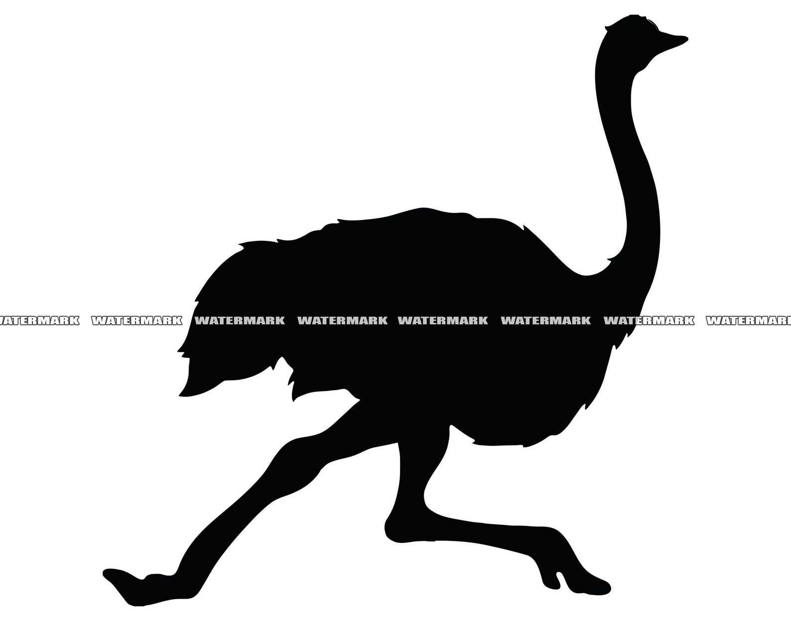 Ostrich SVG, Ostrich Cut File, Ostrich DXF, Ostrich PNG, Ostrich ...