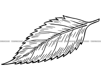 Daphne Cut File - Etsy