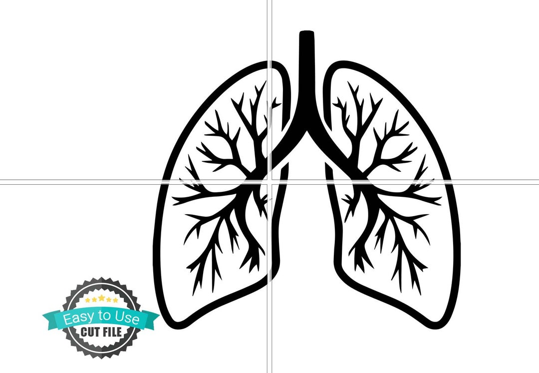 Lungs SVG, Lung SVG, Healty SVG, Cigaret Svg - Etsy