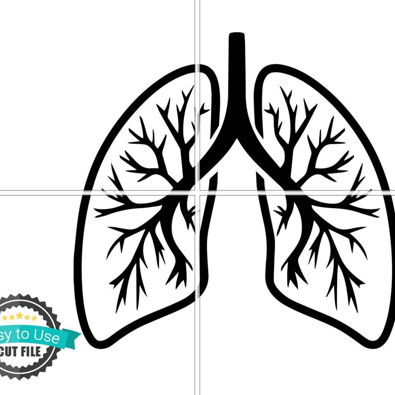 Lung Svg - Etsy