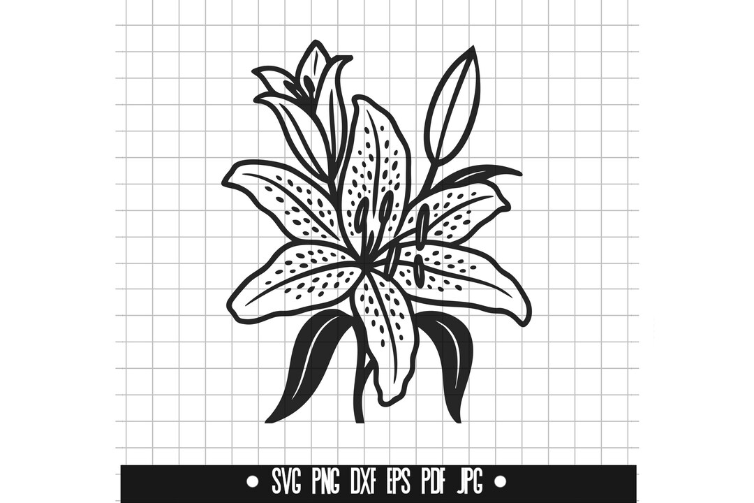 Lily Flower SVG, Floral DXF, Lily PNG, Flower Cut File, Clipart ...