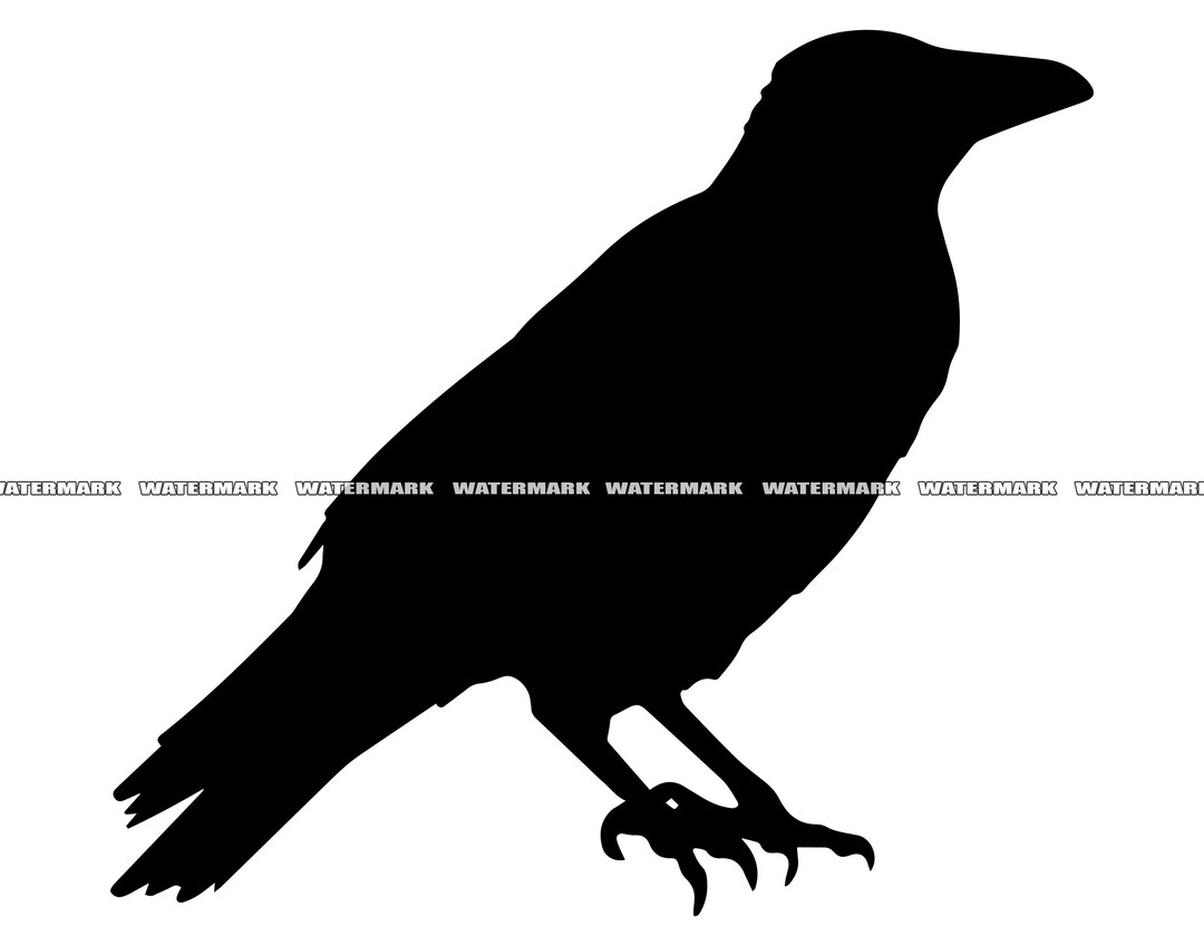 Buy Crow SVG Crow Cut File Crow DXF Crow PNG Crow Clipart Online in ...