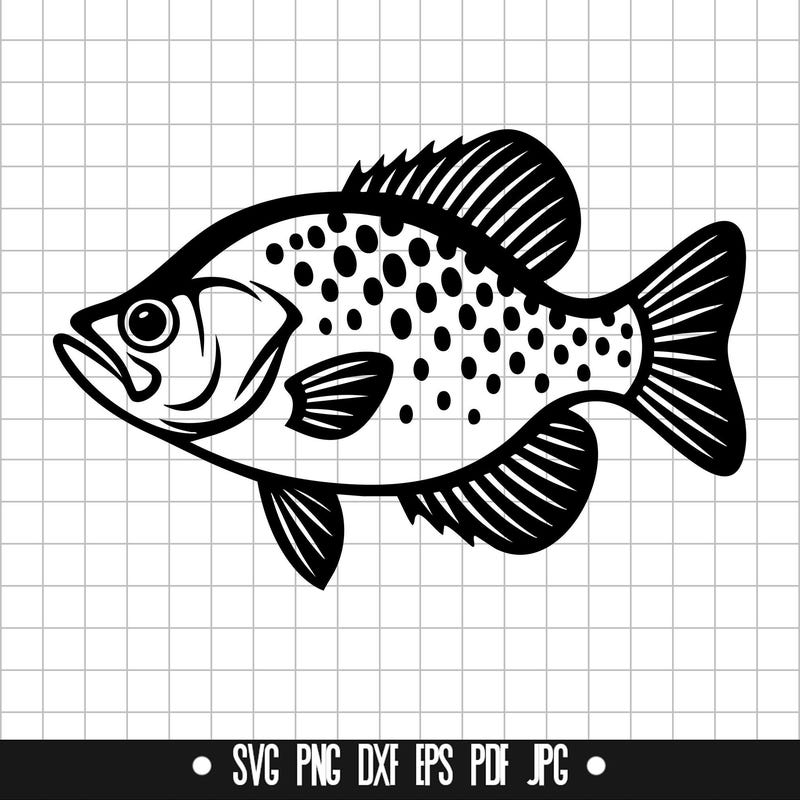Crappie Svg - Etsy