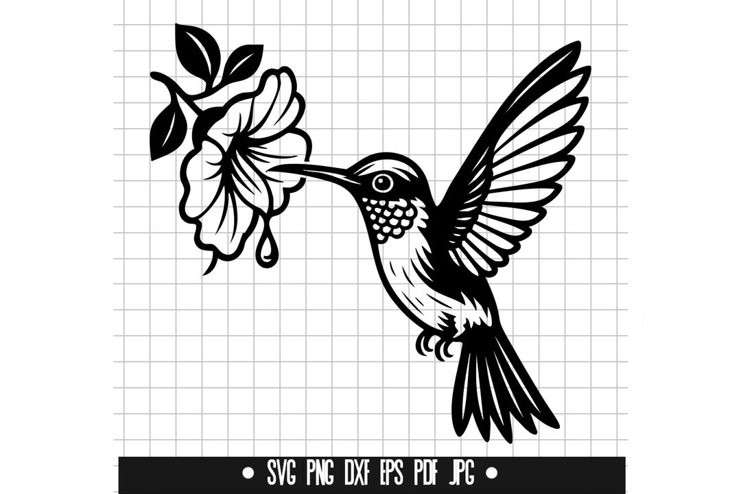 Hummingbird SVG, Hummingbird DXF, Hummingbird PNG, Hummingbird Cut File ...