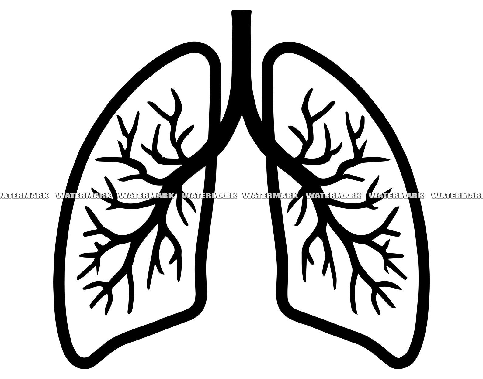 Lungs SVG, 3, Lungs Cut File, Lungs DXF, Lungs PNG, Lungs Clipart ...
