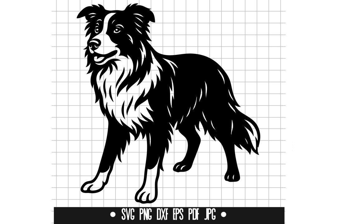 Border Collie SVG, Border Collie PNG, Border Collie DXF, Border Collie ...