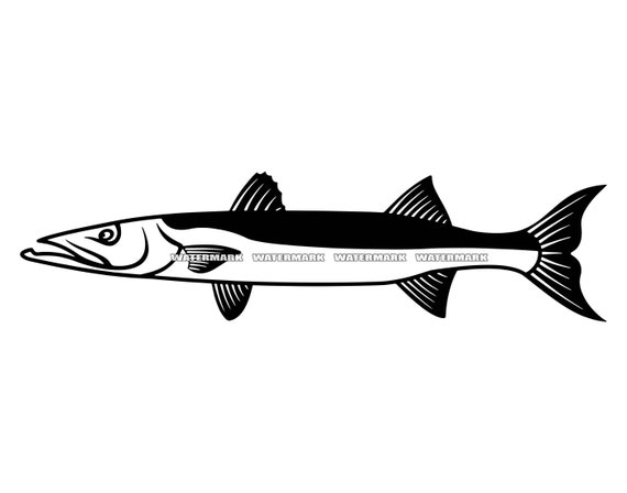 Fish Svg Barracuda SVG Barracuda DXF Barracuda PNG | Etsy