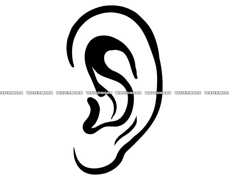 Human Ear SVG 3 Audiology Anatomy Biology Medical Art Hearing - Etsy